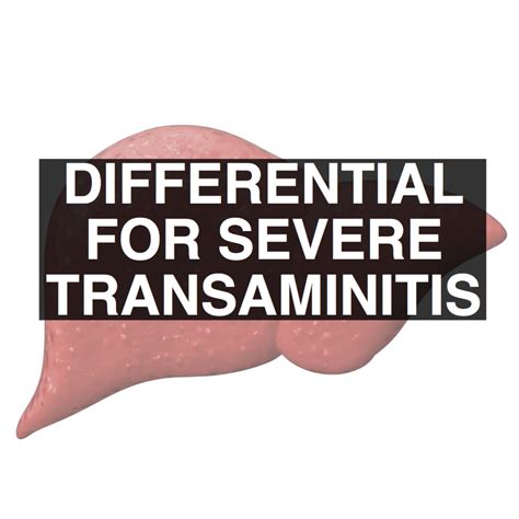 Severe Transaminitis Rk Md