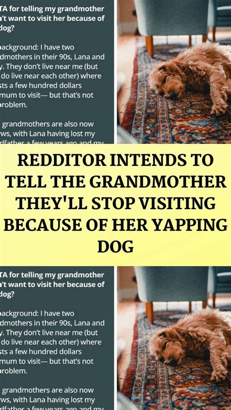 A Guy Finds Out About His Brother S Sexuality After Accidentally Reading His Message