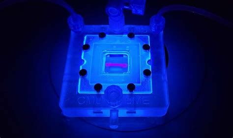 Bioprinting Technique Brings Vascularized Tissue One Step Closer Genetic Engineering