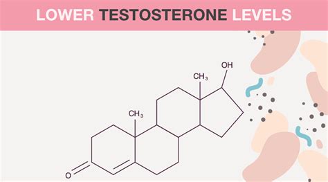 5 Supplements To Lower Testosterone Levels Uk Health And Balance Vitamins