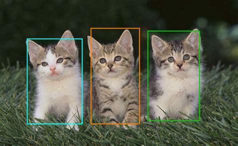 wbf weighted boxes fusion 加权边界框融合算法解读 知乎