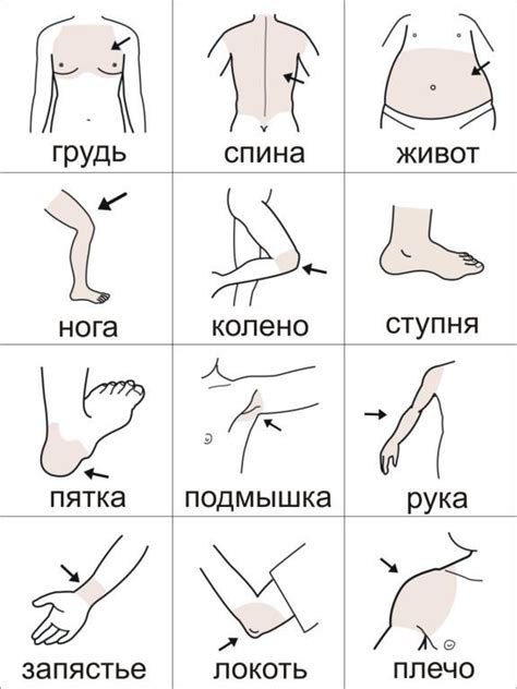 Карточки Части тела Части тела Тело Задания на грамотность