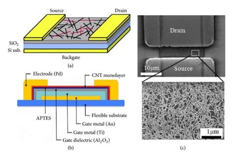 Typical Structure Of Swcnt Tft A Schematic Diagram 1 [51] This Type Download Scientific