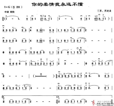 你的柔情我永远不懂（丁原周迪作曲你的柔情我永远不懂简谱） 胡琴曲谱 曲谱图网