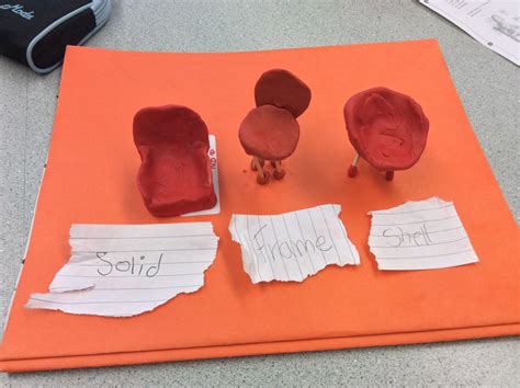 Lesson 2 Classifying Structures By Formframe Shell And Solid