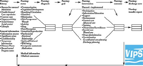 Overview Of The VIPS Model Download Scientific Diagram