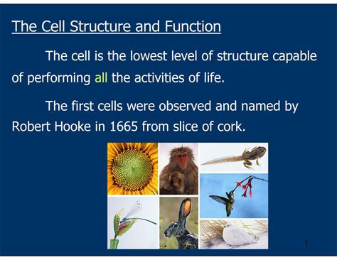 BIO Cell Biology The Cell Structure And Function The Cell Is The Lowest Level Of Structure