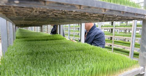 청주시 벼 육묘상자 구입비 50 지원518㏊ 이앙 규모