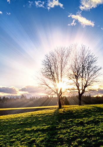 Lewis James “jim” Scheer Hallowell And James Obituaries