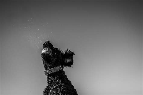 Catch Typescript Errors In Nextjs Before Building Your App