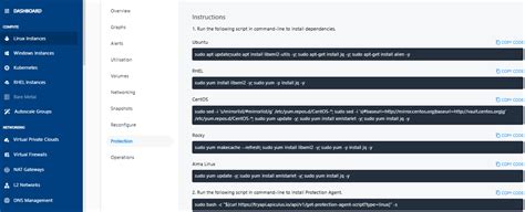 Enabling Instance Protection Apiculus Technical Documentation