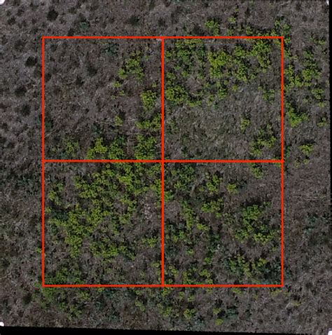 Figure 1 From Effective Data Augmentation With Diffusion Models