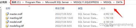 附加microsoft Sql Server数据库时报错，microsoft Sql Server，错误 5120数据库5120 Csdn博客
