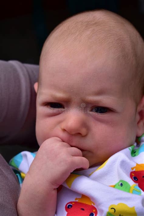 Beb Rec M Nascido Menino Louro Com Olhos Azuis Sete Semanas Foto De Stock Imagem De Meses