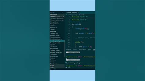 Compile And Run C Files Through Terminal Codinginc Programming