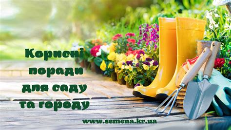 Green Estate Украсить даже самый неприглядный уголок сада и при этом добавить в него кусочек