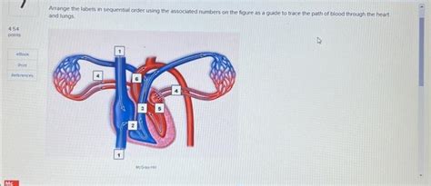 Solved Arrange The Labels In Sequential Order Using The