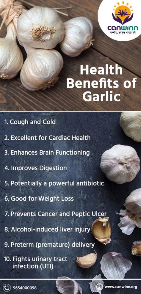 What Is A Good Benefits Of Garlic At John Froehlich Blog