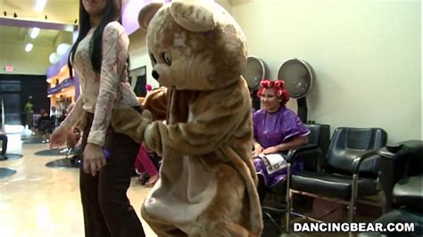 Party In The Salon With The One And Only Dancing Bearand Anddb8979and