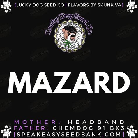 Mazard Strain Seeds 🤯 • At Long Last Two Legends Match Up