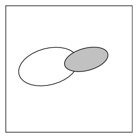Diagram Of The Life Stages Of A Cloud Patch L Ac Demonstrate Download Scientific