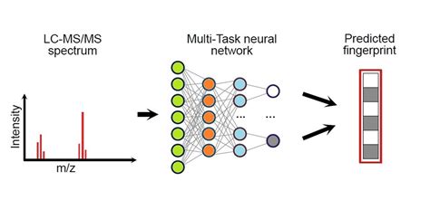 Molecules Free Full Text Multi Task Neural Networks And Molecular