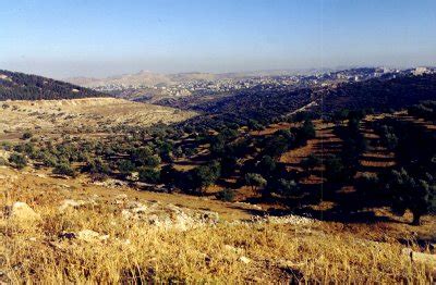 Migdal Eder Biblical Location Alchetron The Free Social Encyclopedia