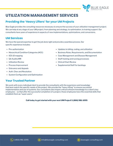 Utilization Management Services Blue Eagle Consulting