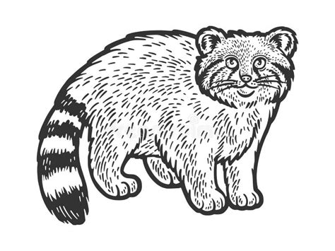 Manul Pallas S Cat Sketch Raster Illustration Stock Illustration