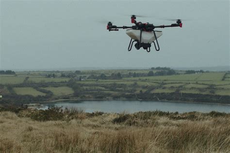 Drones Used To Sow Tree Seeds In Scheme To Restore Lost South West Rainforests Radio NewsHub