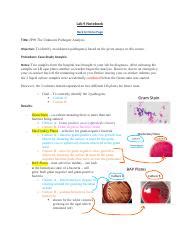 Lab 9 Pdf Lab 9 Notebook Back To Home Page Title JP09 The Unknown Pathogen Analysis Objective