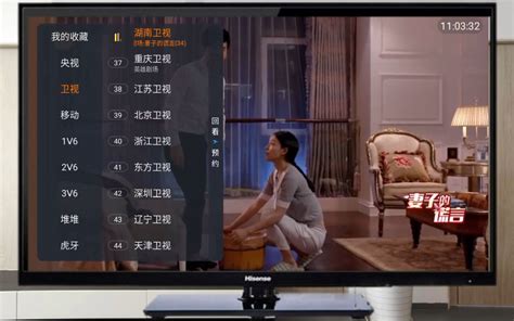 Webview电视直播版本大全 Webview电视直播 Tv版 安装包下载 软件屋