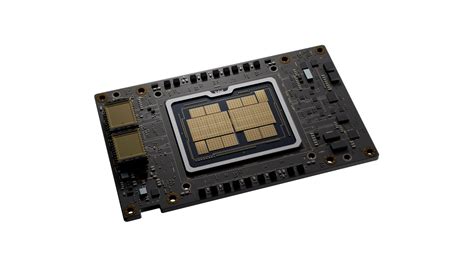 Intel Max Series — Thomas Eugene Green