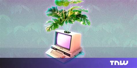 Why Zig Has Become The Highest Paying Programming Language