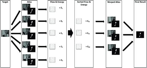 Flowchart For Our Integrated 3D Flow Based Multi Atlas Segmentation