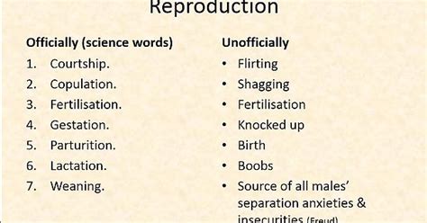 So This Happened In My Lecture Today Imgur