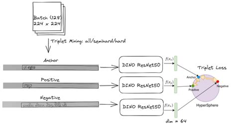 Winning The Ncvpripg23 Challenge On Writer Verification Manan Shah