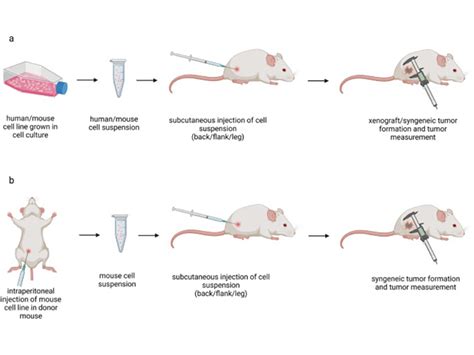 细胞培养基可以放在紫外灯下照吗？如果不能是损害了什么成分呢，伤害性多大呢？ 吉诺生物 吉诺生命健康控股集团有限公司