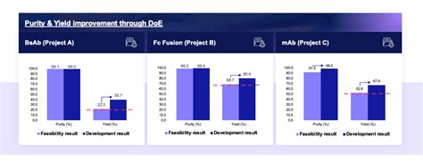 Expediting Biologics Drug Development Downstream Strategies To