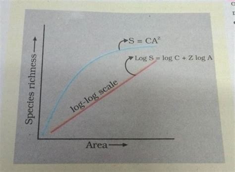species richness log log scale s ca² log s log c z log a area o