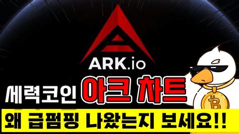 아크코인 상승 이유 이거 세력차트입니다 Youtube