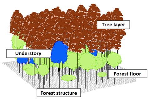 A Romanian Perspective On Urban Forestry Uforest