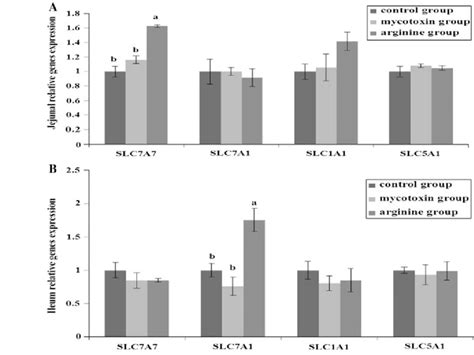 Effects Of Dietary Supplementation With Arginine On Gene Expression In Download Scientific