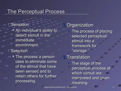 Perception Ppt