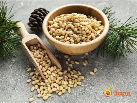 Купить кедровые орехи в СПб оптом и в розницу с доставкой по Санкт