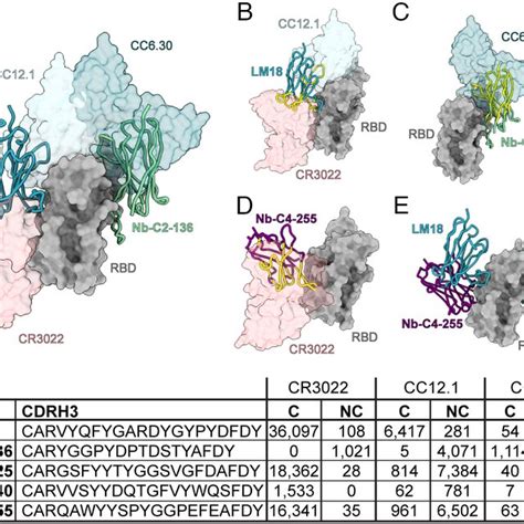 Structural Validation Of On Yeast Epitope Binning A Binding Of Lm18 Download Scientific