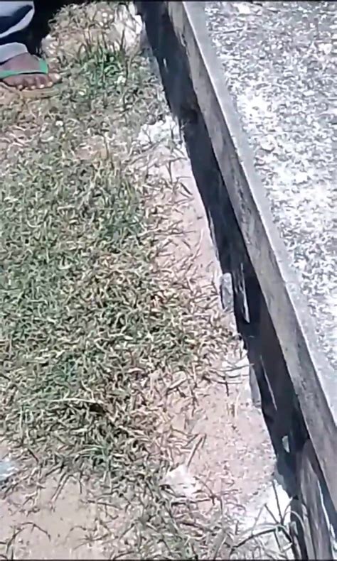 Homeless Dick Pissing