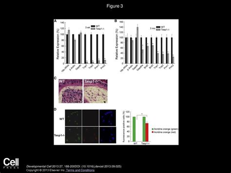 Volume 27 Issue 2 Pages October 2013 Ppt Download
