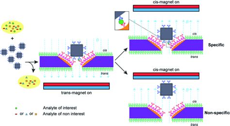 Nanopore Blockade Sensing Using Functionalized Nanopore Chips With Download Scientific Diagram