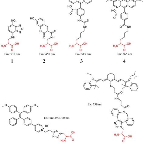 Cell Wall Structure Of Gram Positive Bacteria Gram Negative Bacteria
